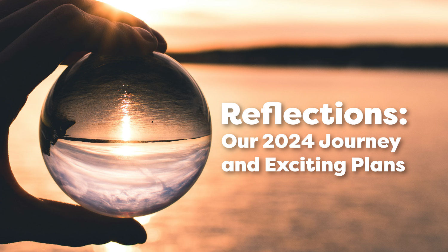 Reflections: Our 2024 Journey and Exciting Plans – Nix + Ness